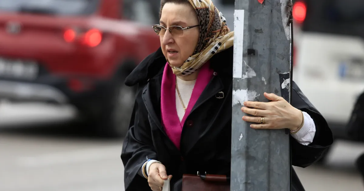 Bursa'da lodos dehşeti! Uçmamak için ağaç ve direklere tutundular ...