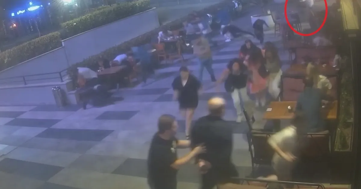 Bursa'da eğlence mekanı karıştı! Oğul tutuklandı baba ise... - Bursa ...