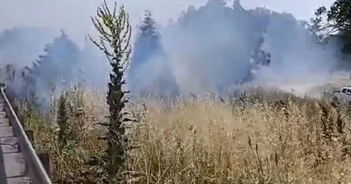 İzmir-Bursa kara yolunda alevler panik yarattı - Bursa Hakimiyet