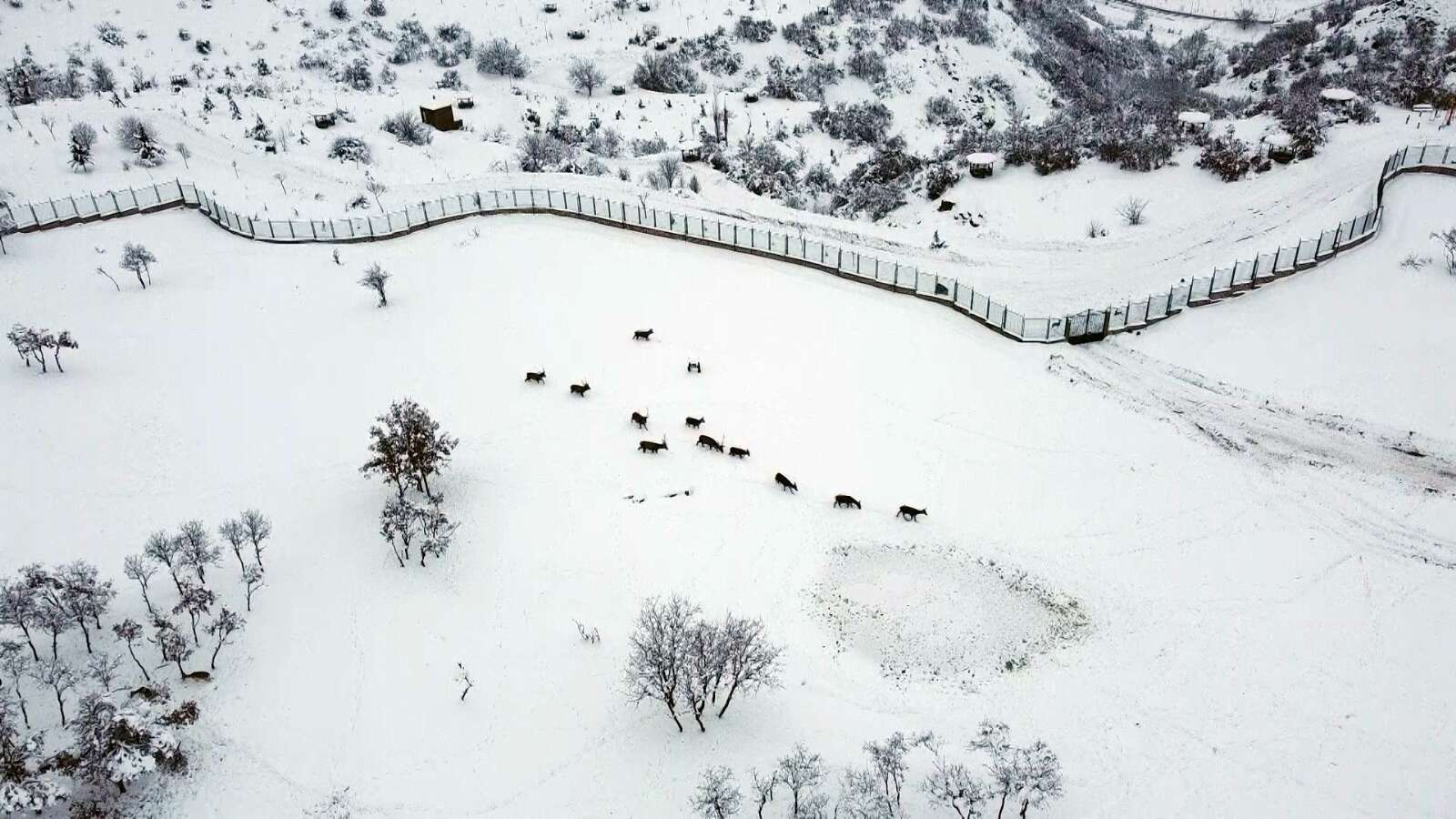 Türkiye’nin ilk fauna alanında kış güzelliği - Bursa Hakimiyet